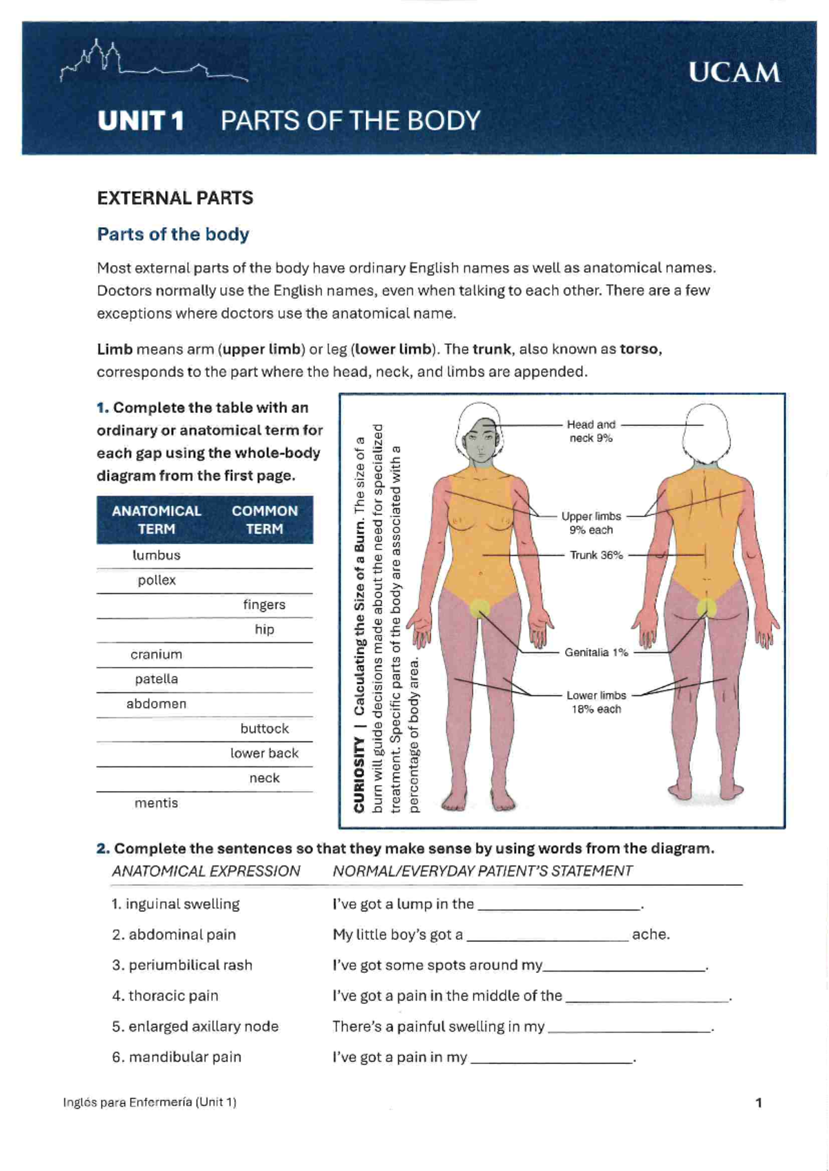 UCAM Unit 1: External Body Parts and Functions in Nursing - Studocu