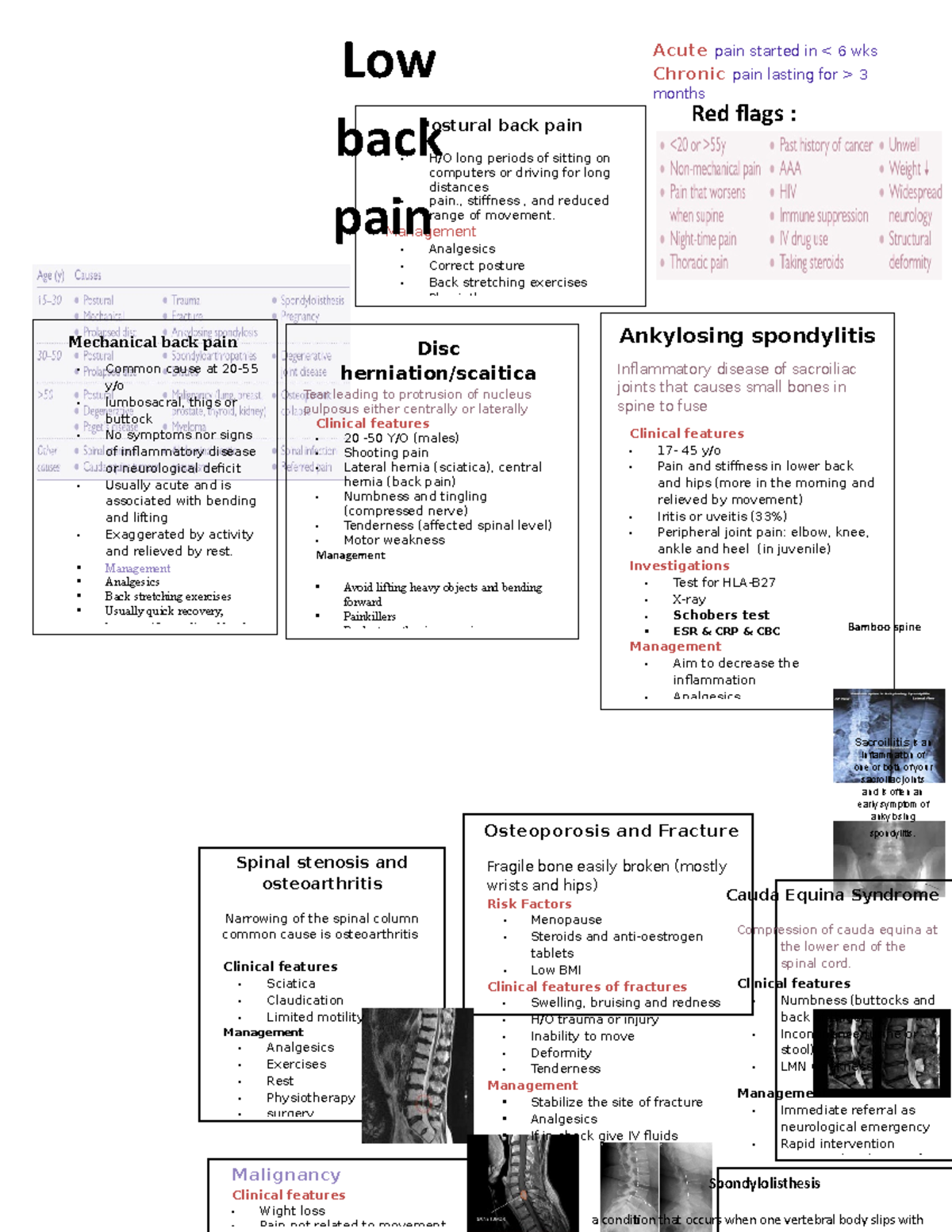 Differential Diagnosis of Back Pain: Key Points and Management - Studocu