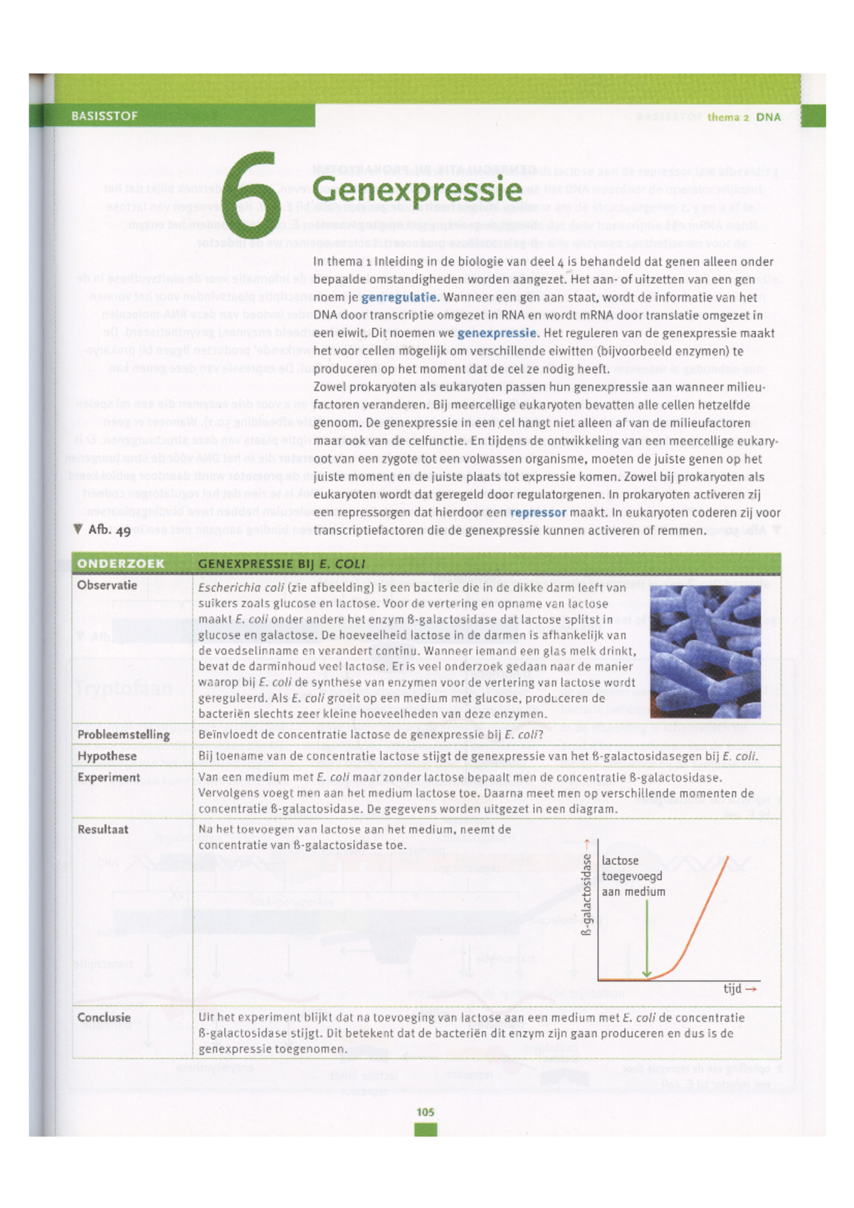 Genexpressie en Genregulatie: E. Coli en Eukaryoten (6BASIS) - Studeersnel