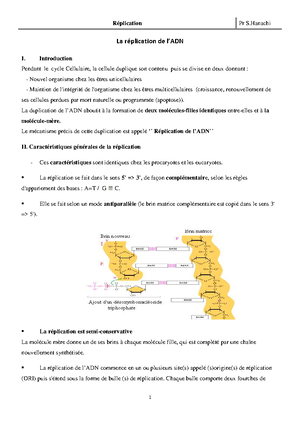 Exercices part 1 - wefwf wefwefew wefwef - ####### Question 1 ...