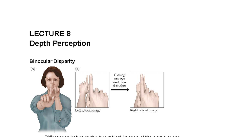 LECTURE 8: Depth Perception and Binocular Disparity Explained - Studocu