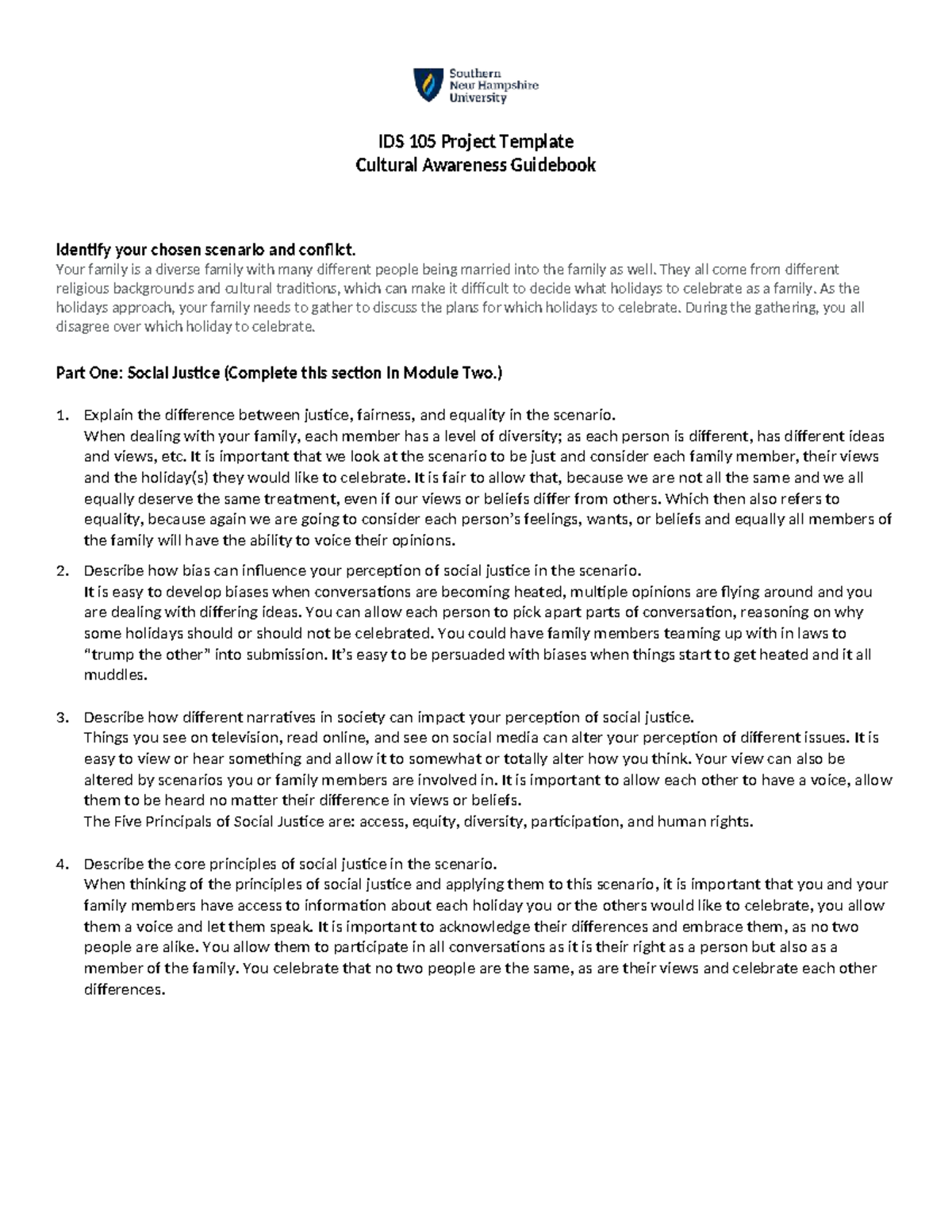 IDS 105 Project Template EShelhorse Mod 5 - IDS 105 Project Template ...