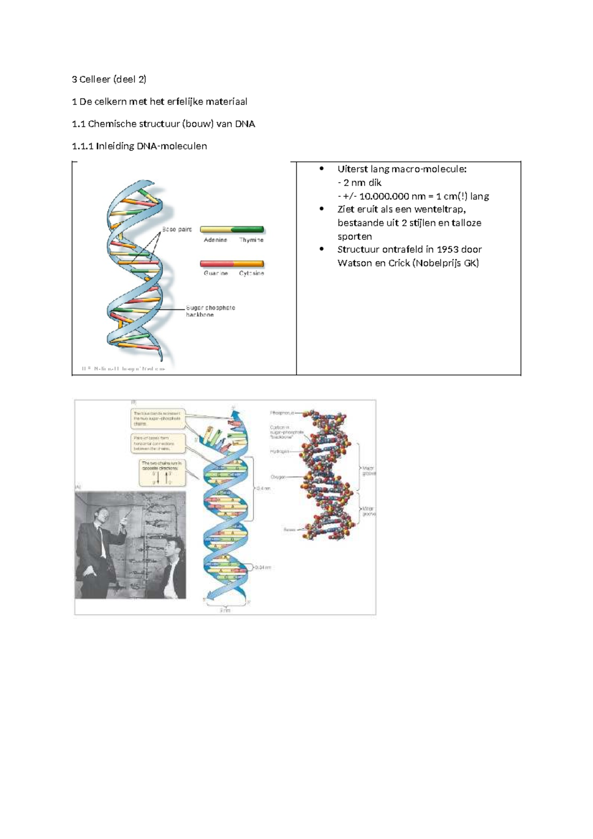 3 Celleer (deel 2): Structuur en Functie van DNA en Genexpressie - Studocu