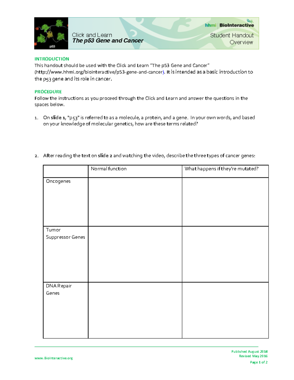 P53 Worksheet Overview Final - BioInteractive Published August 2014 ...
