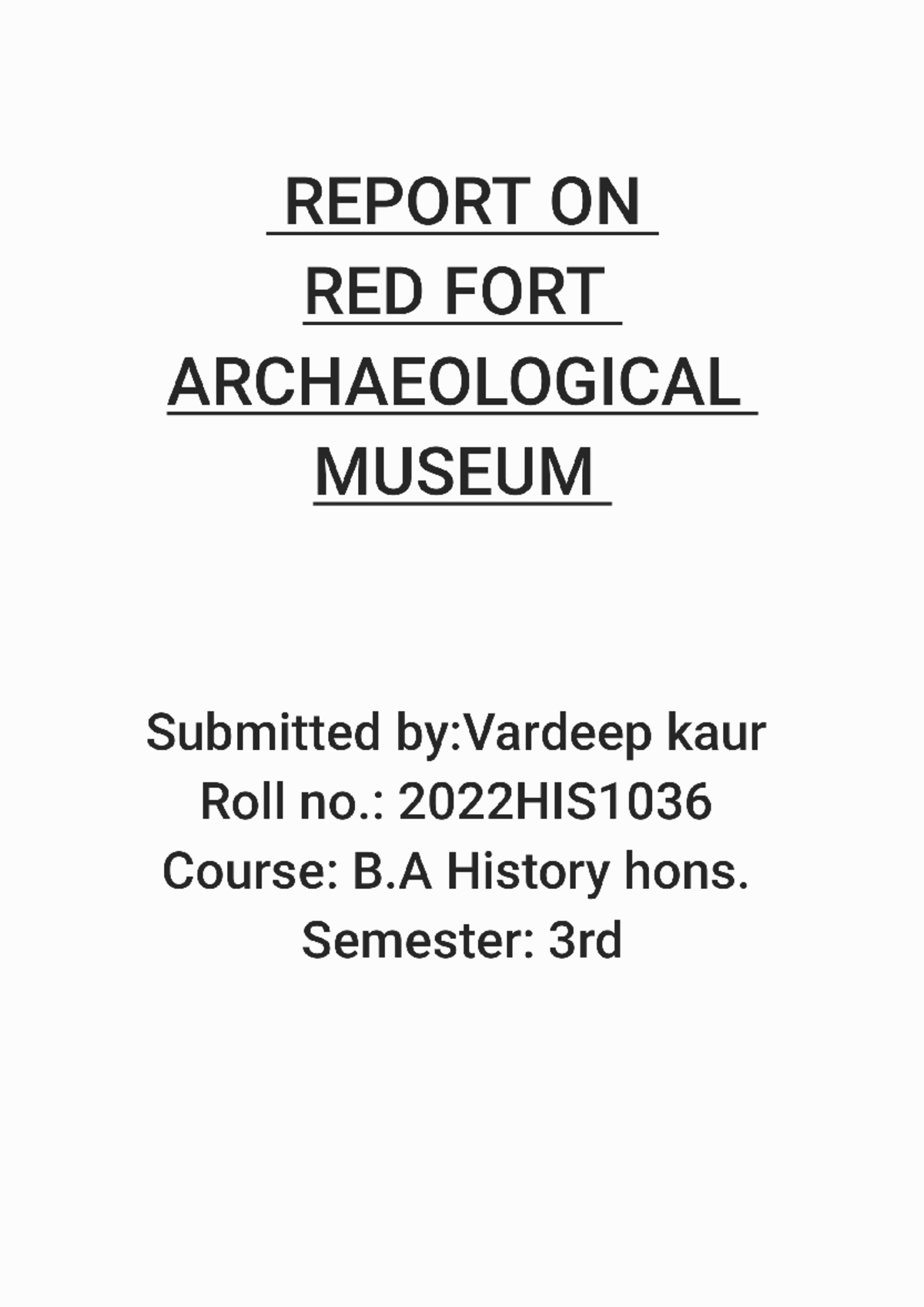 Project Report: Preserving Heritage at Redfort Archaeological Museum ...