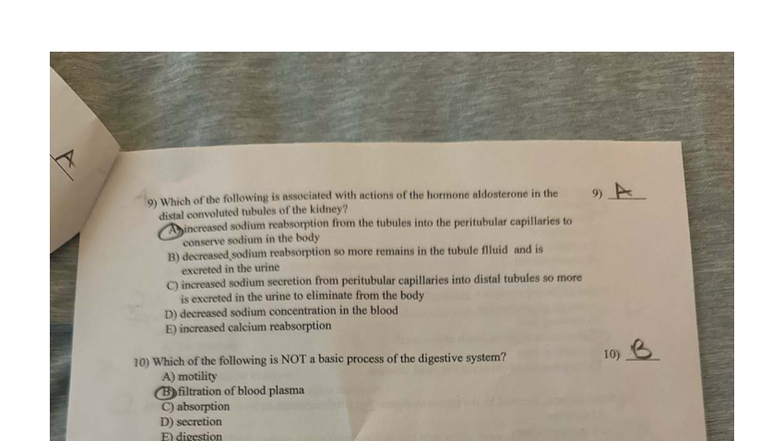"Biology 101: Hormonal Actions & Digestive System Processes Review ...