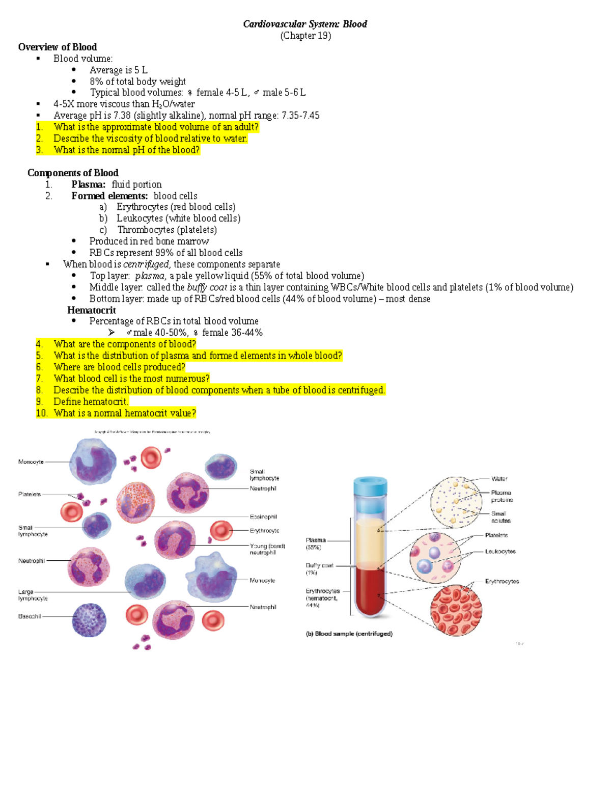 Study Guide - Cardiovascular System: Blood (Chapter 19) Overview - Studocu
