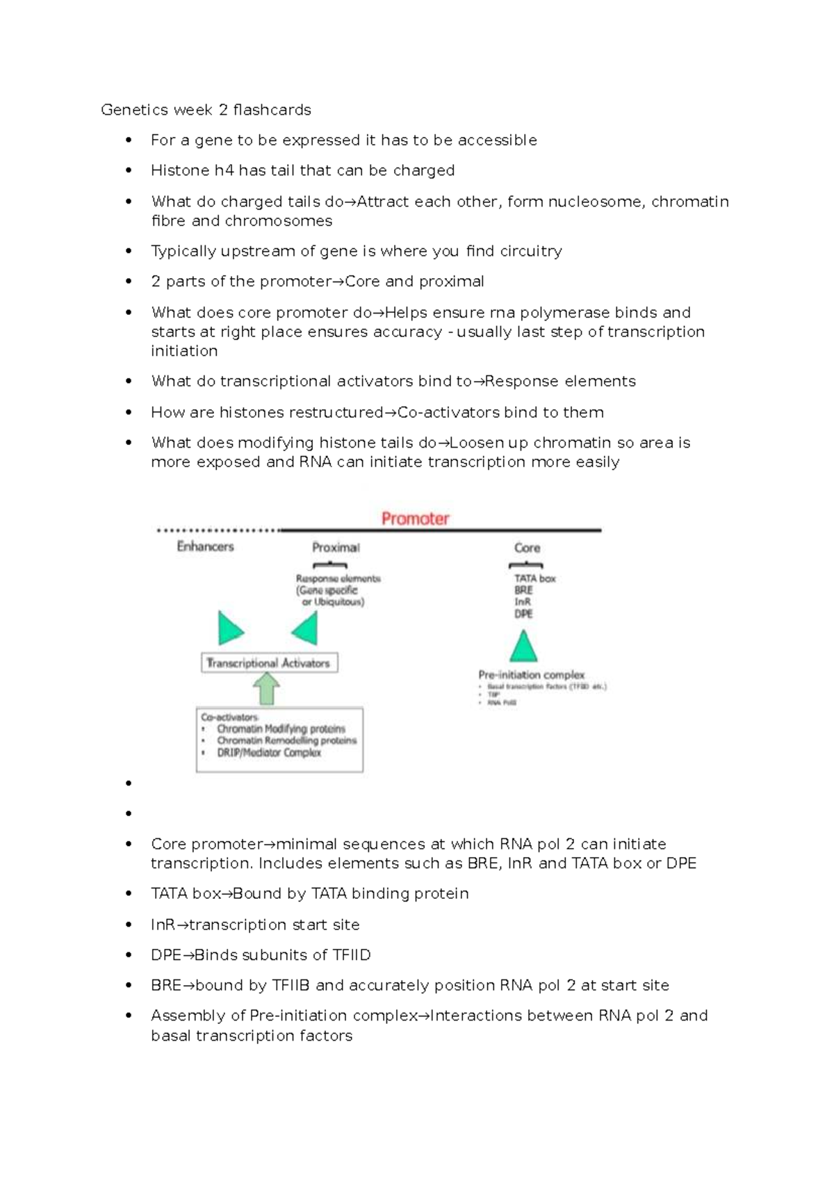 BMS506 Week 3 Genetics Notes: Gene Expression & Regulation - Studocu