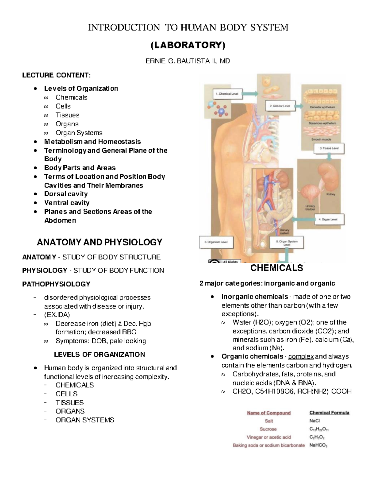 Introduction to Human Body Systems (Lab) - A Comprehensive Overview ...