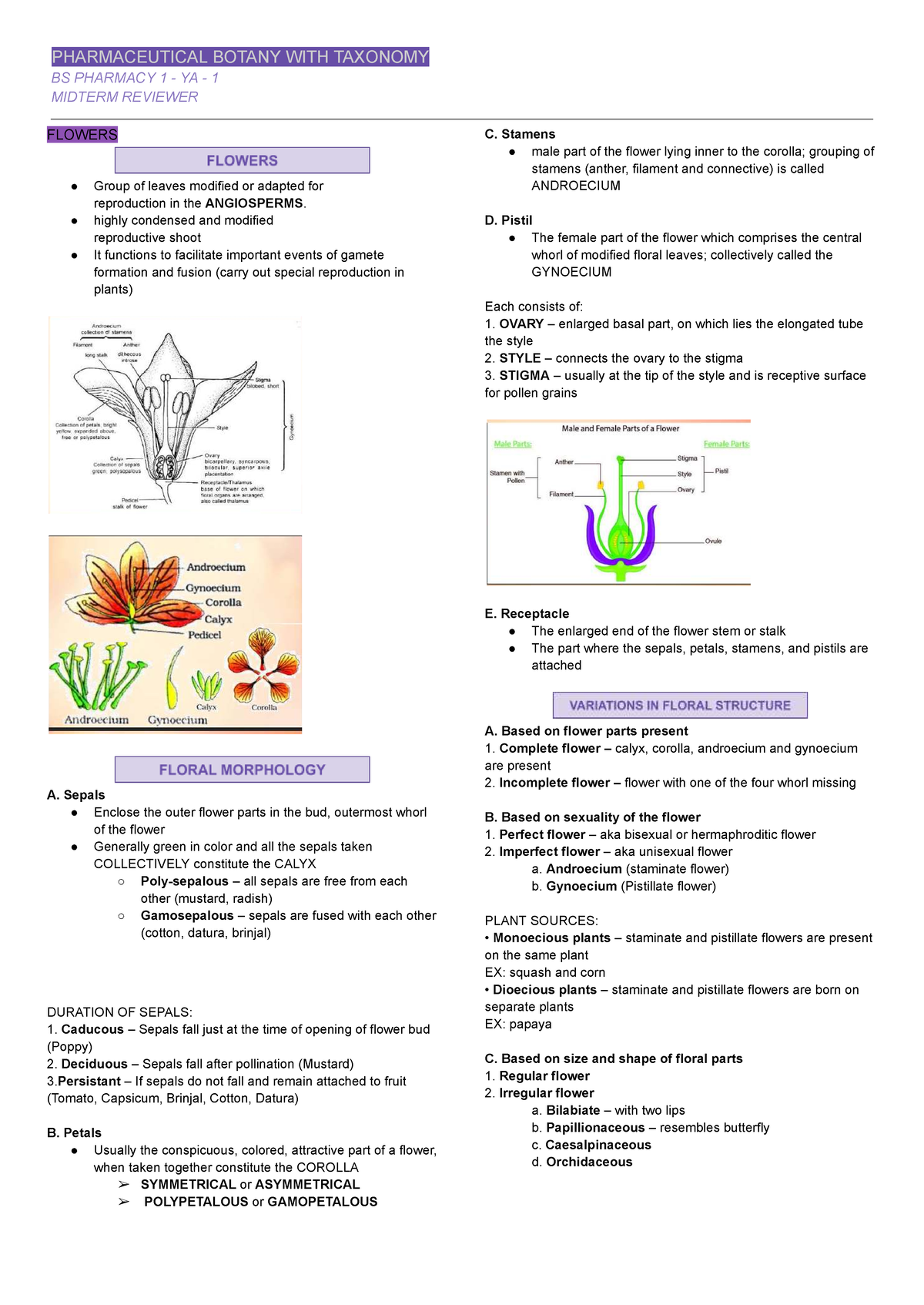 PHARMACEUTICAL BOTANY WITH TAXONOMY BS PHARMACY 1 YA 1 MIDTERM REVIEWER - Studocu