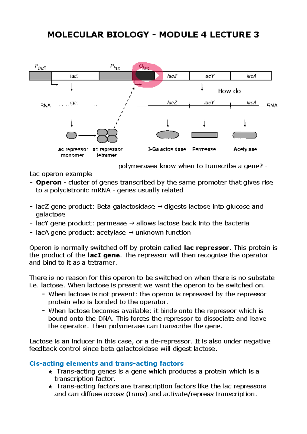 Module 4 lecture 3 notes - MOLECULAR BIOLOGY - MODULE 4 LECTURE 3 How ...