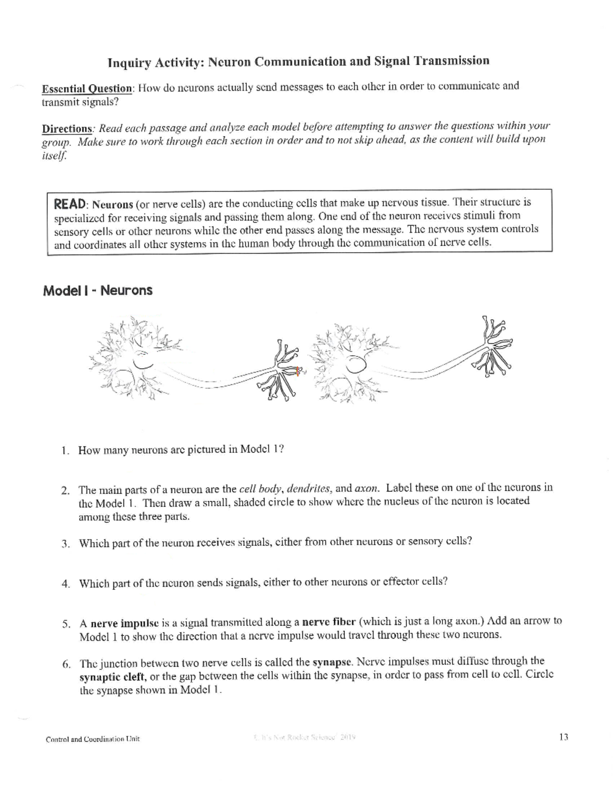 Anatomy Synapse and Nerve - Inquiry Activity: Neuron Communication and ...
