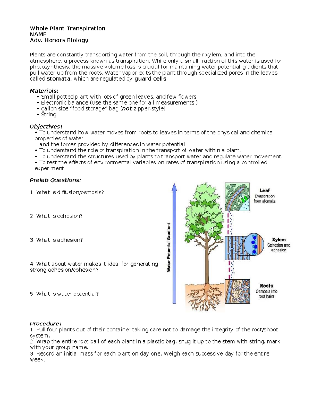 Adv. Honors Biology: Whole Plant Transpiration Lab Report - Studocu