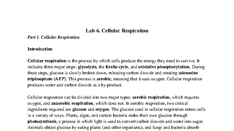 Lab 6: Yeast Cellular Respiration & Sucrose Impact Analysis - Studocu