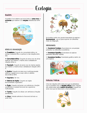 Módulo 3: Abertura Europeia ao Mundo - Warning: TT: undefined function: 32 Warning: TT ...