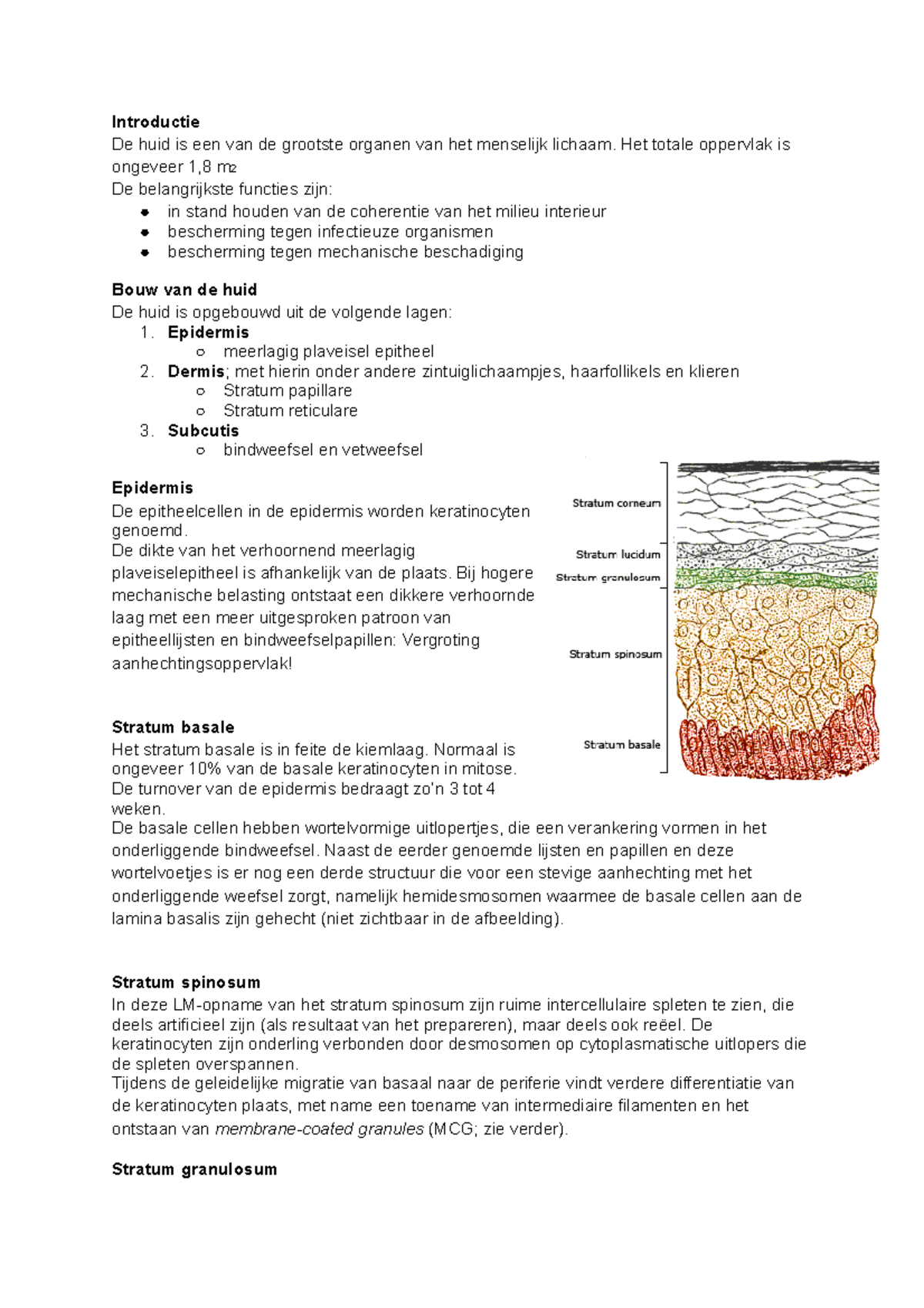 E-learning HUID: Celbiologie en Histologie van de Huid en Functies ...