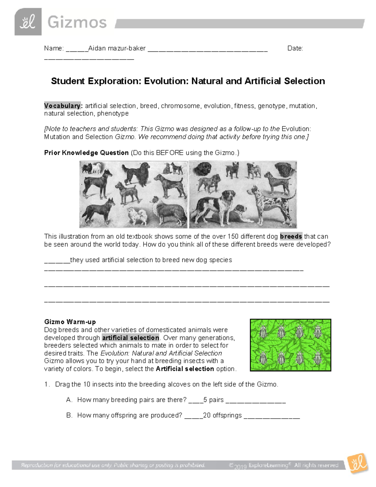 Evolution Gizmos Final Exam Study Guide (Biology 101) - Studocu