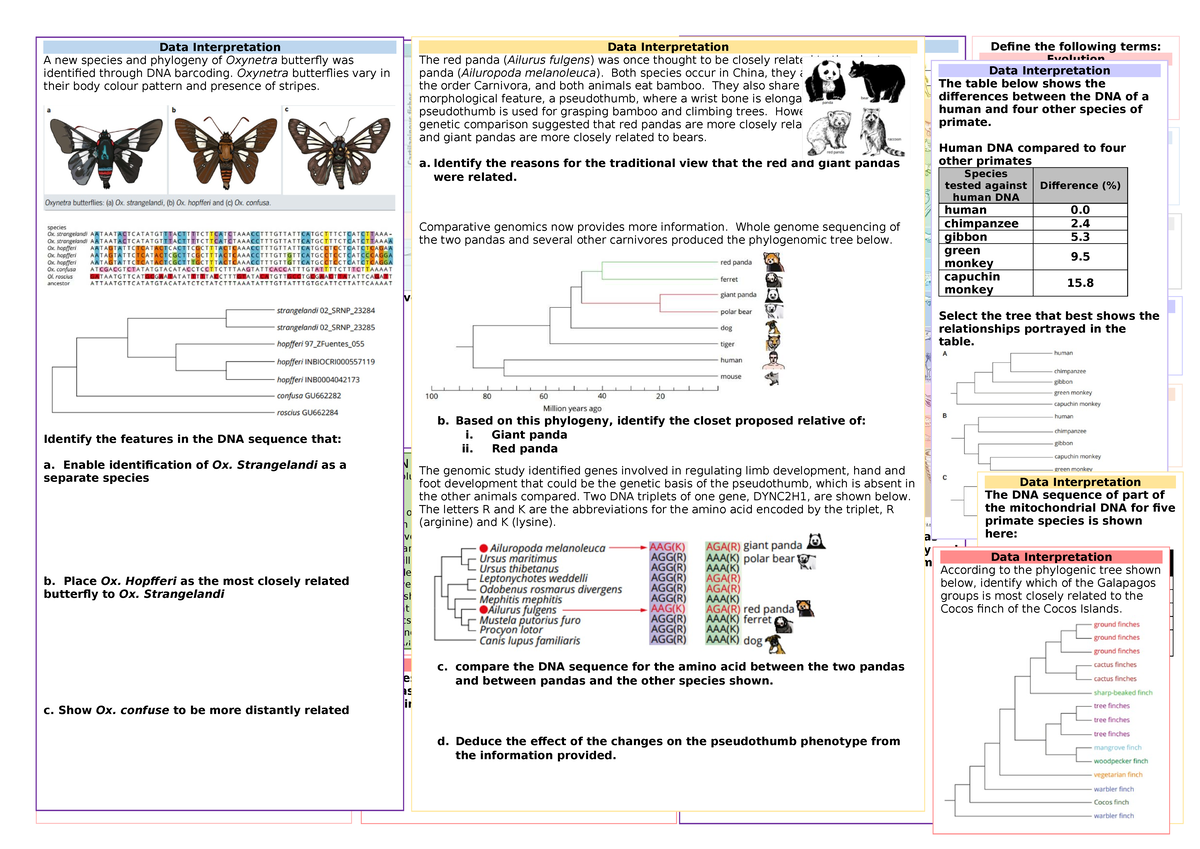 Unit 4 - Topic 2 - Graphic Organizer: Adaptive Radiation & Evolutionary ...
