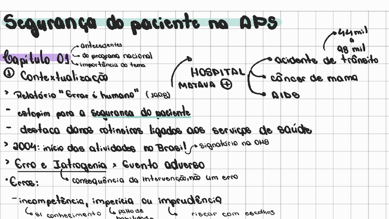 Segurança do Paciente na APS: Importância e Desafios - Resumo - Studocu