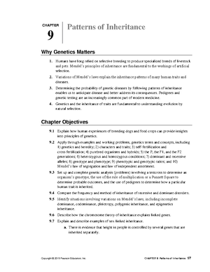 Understanding Gene Regulation: Key Concepts and Mechanisms (BIO101 ...