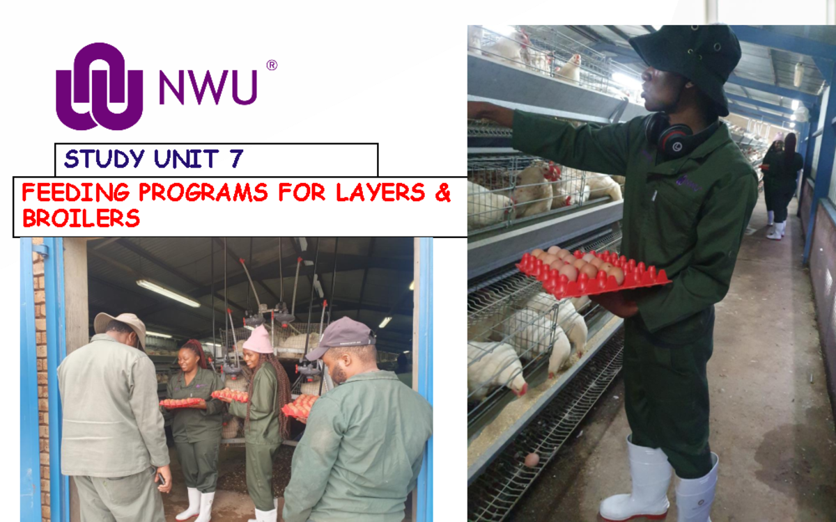 2025-ANDM 312 Study Unit 7: Feeding Programs for Layers & Broilers ...