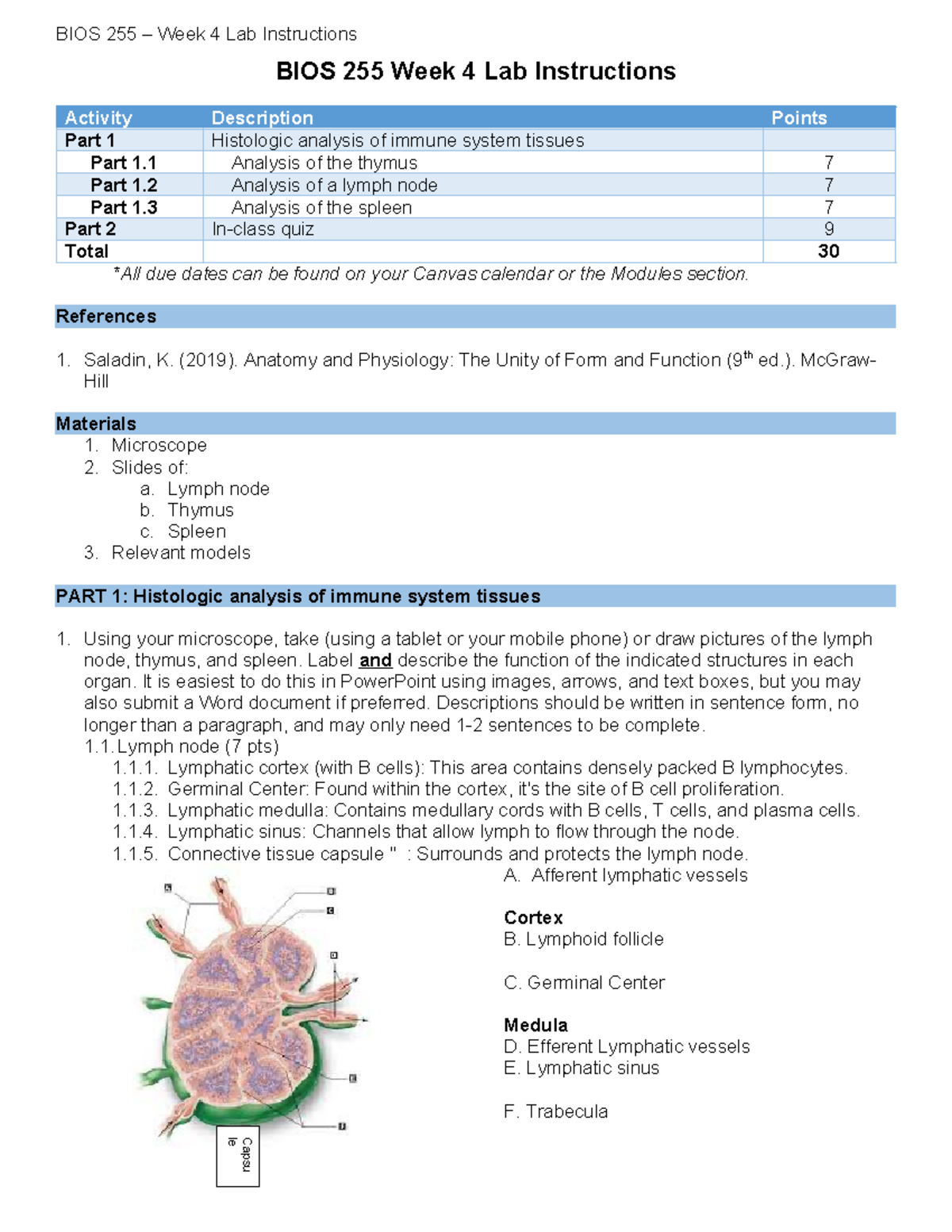 BIOS 255 Week 4 Lab: Histologic Analysis of Immune Tissues - Studocu