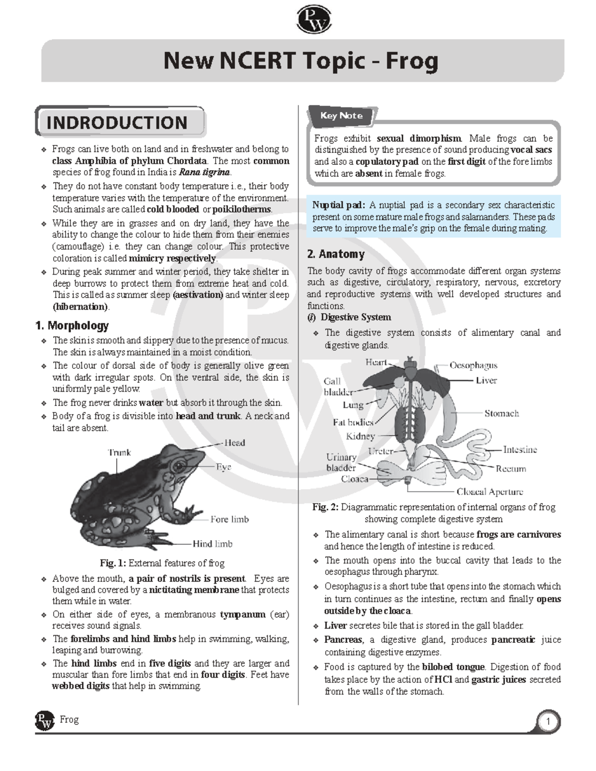 NEET (XI) Zoology: Key Notes on Frog Anatomy and Physiology - Studocu