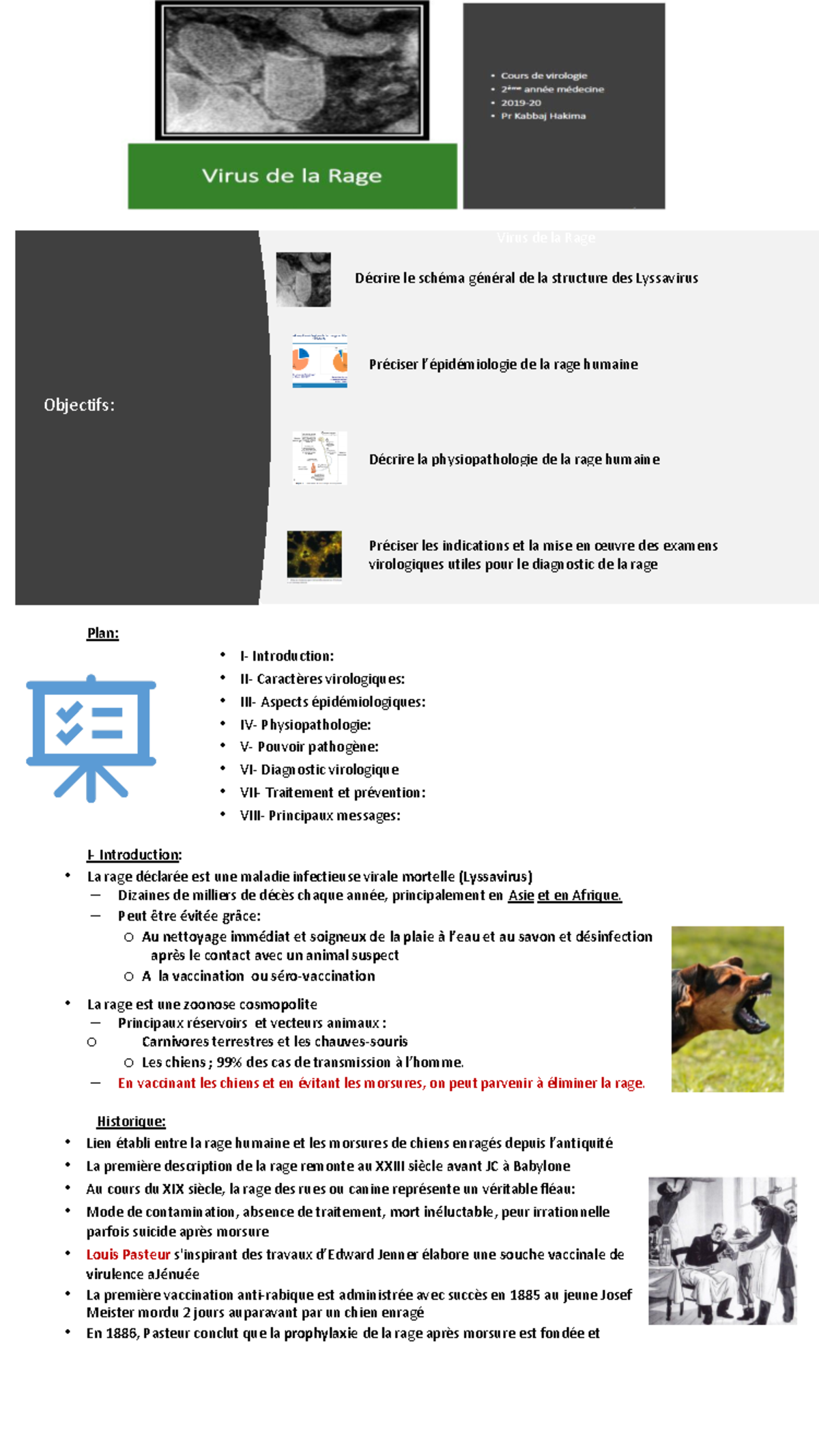 Virus de la rage - • de • 2019- Virus de la Rage Plan: • I ...