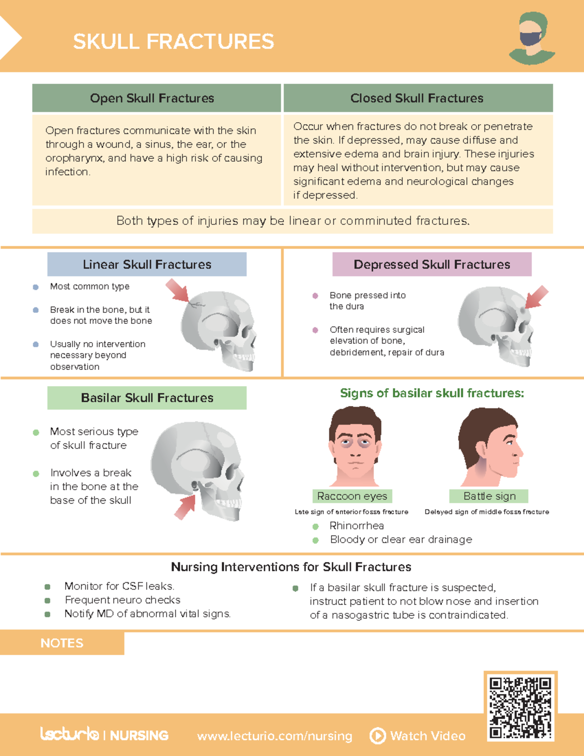 Nursing CS Skull Fractures - lecturio/nursing Watch Video NOTES SKULL ...