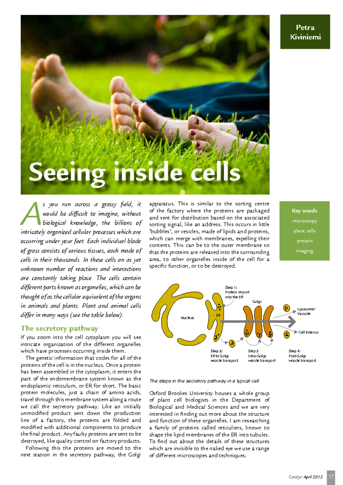 BIOL1012: Seeing Inside Cells - Understanding Organelles & Secretory ...