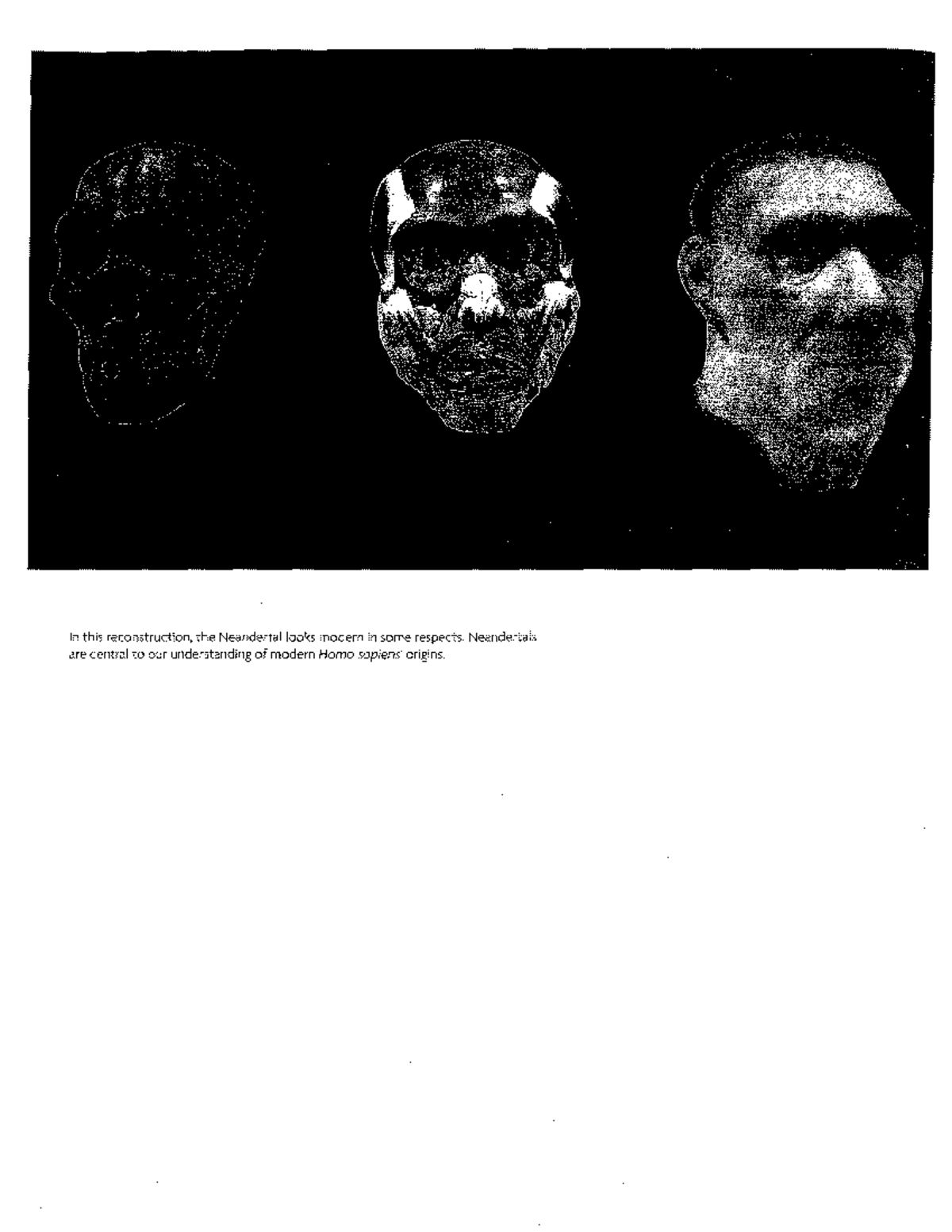 The Origins and Evolution of Modern Homo sapiens: Insights and Models ...