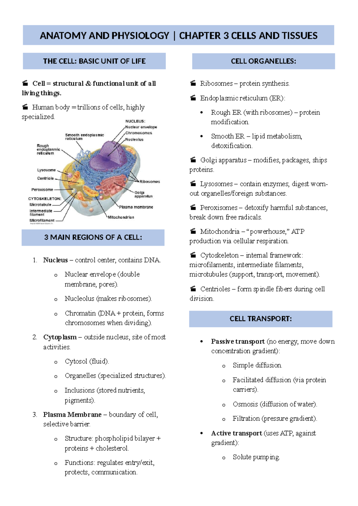 Anatomy & Physiology CH 3-4-5: Cells, Tissues, & Integumentary System ...