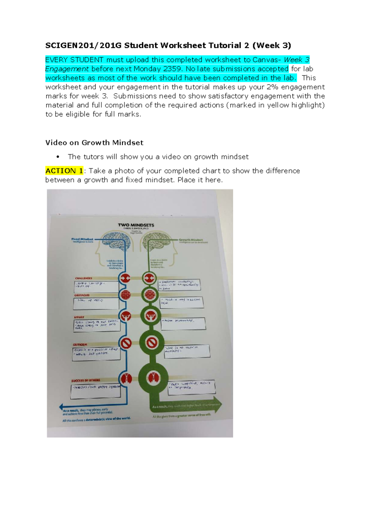 Worksheet - Tutorial 2: Growth Mindset & Collaboration Activities - Studocu