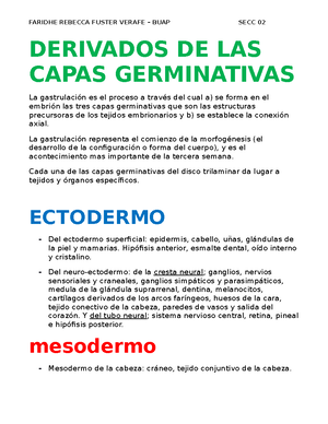 Formacion del paladar - Formación del paladar Paladar primario: se ...