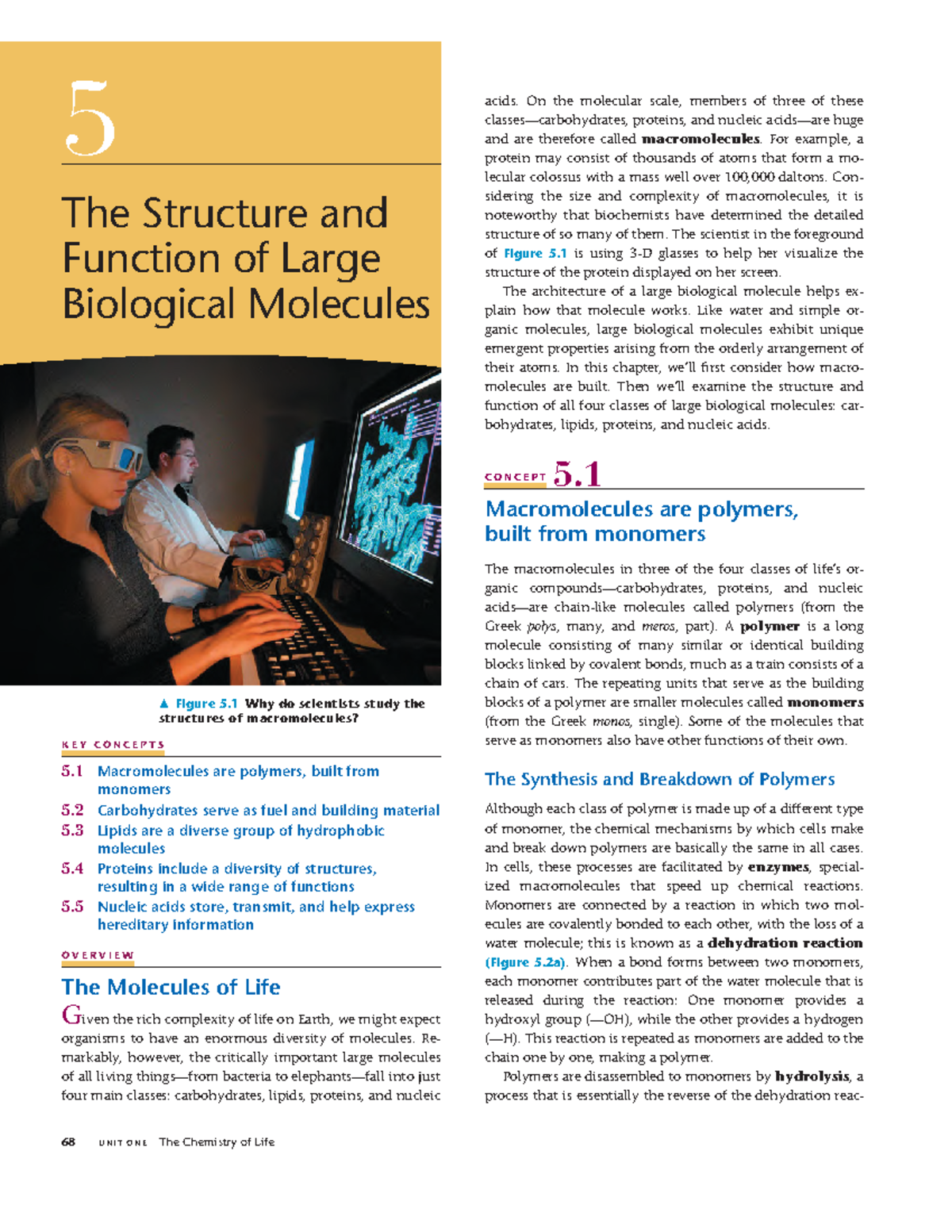 Chapter 5-The Structureand Functionof Large Biomolecules - K E Y C O N ...