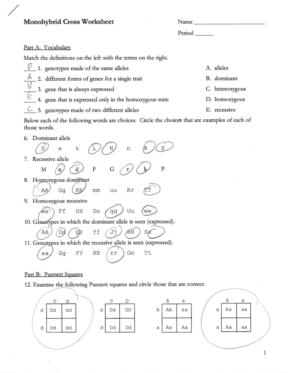 Monohybrid Cross Worksheet: Vocabulary & Punnett Squares Guide - Studocu