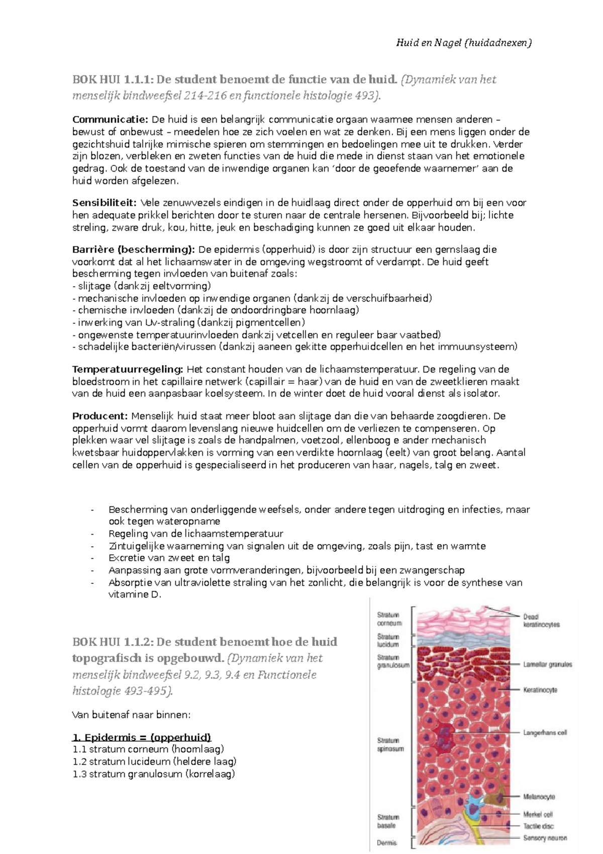 Samenvatting Huid en Nagel BOK HUI 1.1: Functies en Anatomie - Studeersnel