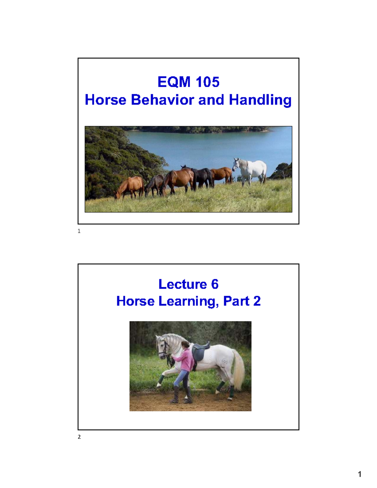 EQM 105 Lecture 6: Understanding Horse Behavior and Learning Strategies ...