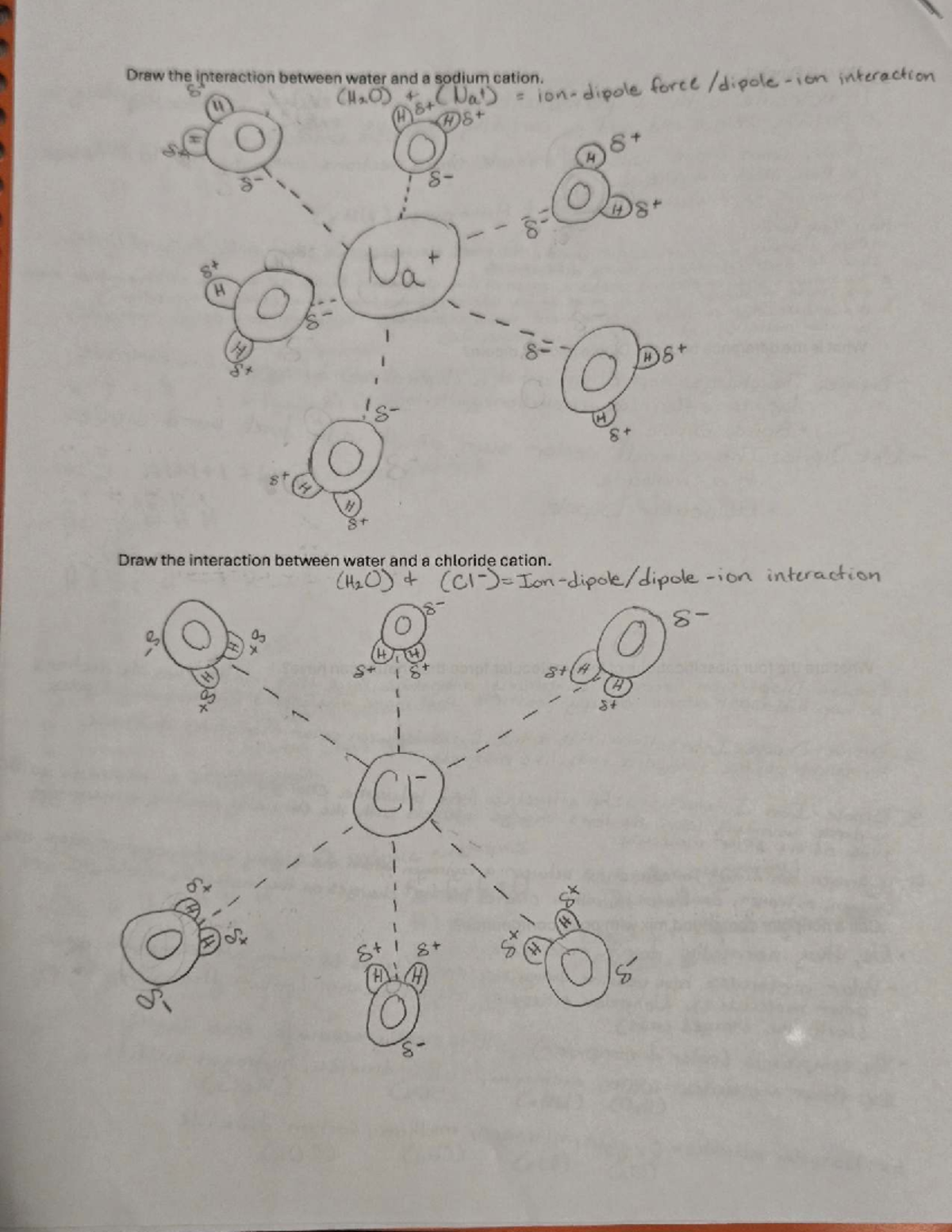 Comprehensive Study Notes for Course 20250929: Ion-Water Interactions ...