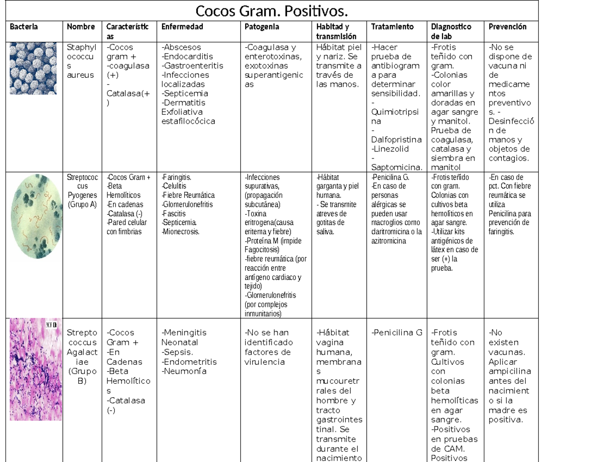 Tablas de Bacteriología II: Características y Patogenia de Bacterias Gram - Studocu