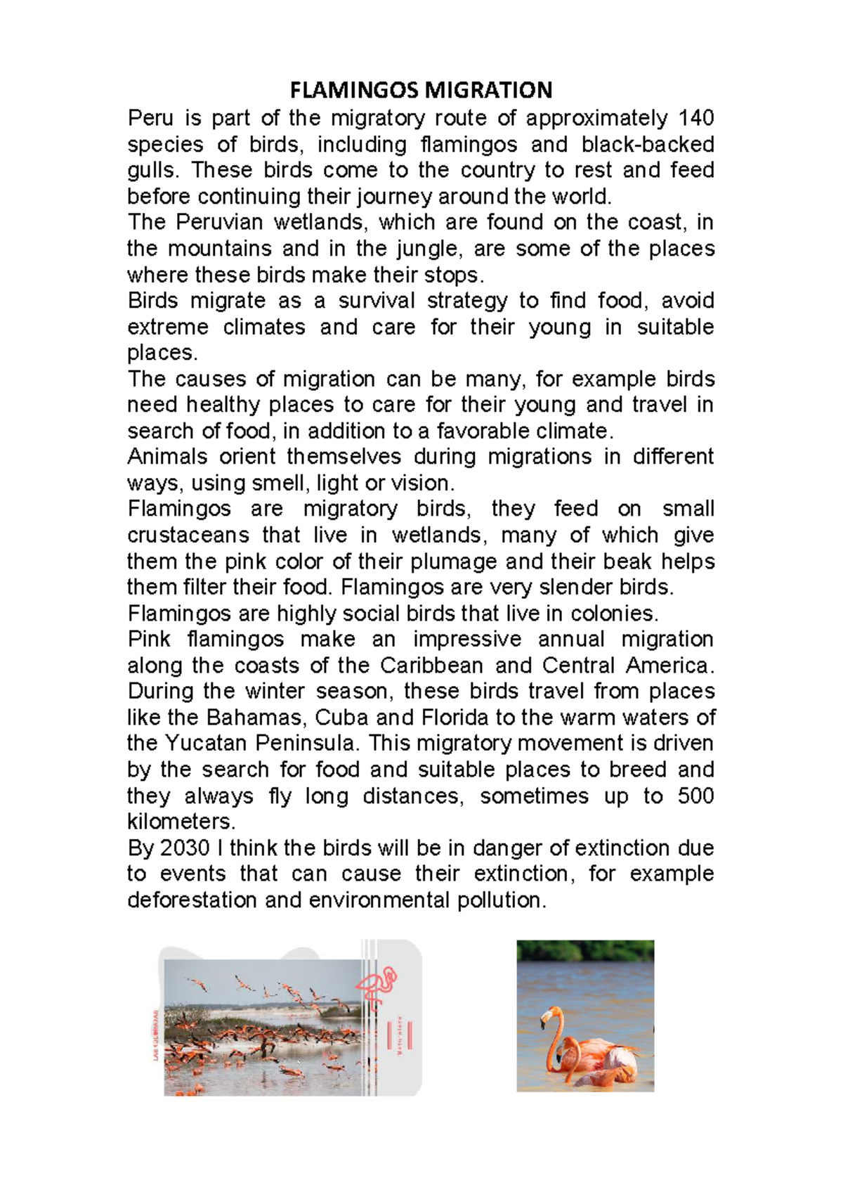 FLAMINGOS MIGRATION: Insights on Their Journey and Survival - Studocu