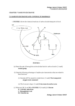 SB025 lab report diversity of bacteria - Title: Diversity of Bacteria ...