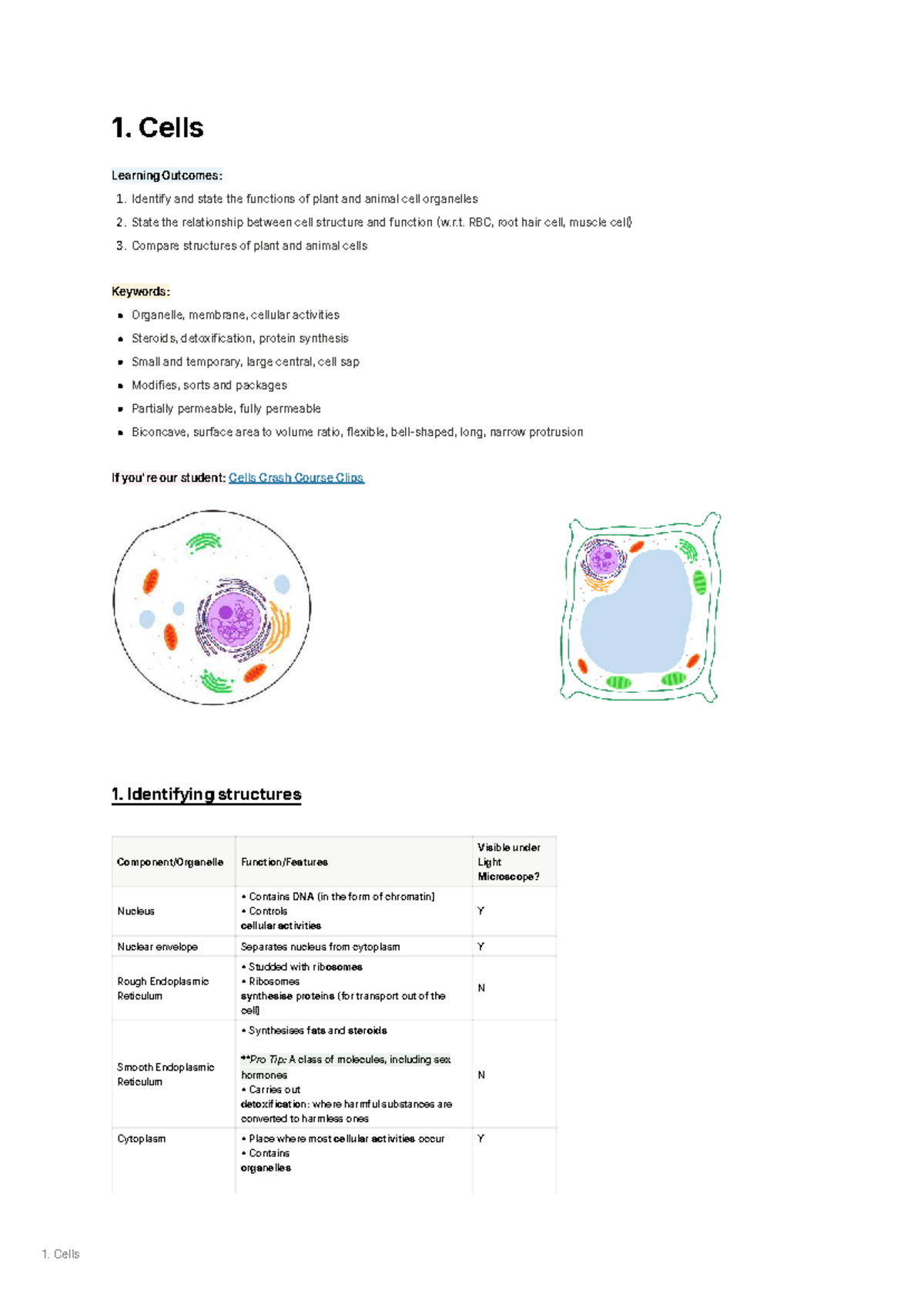 Cells and Biomolecules Study Notes (Pure Bio 2025) - Studocu