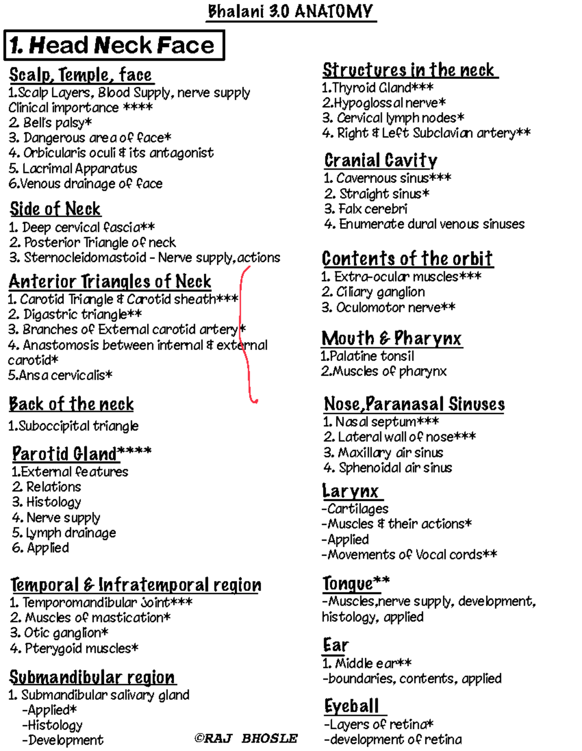 Anatomy 1: Comprehensive Study of Head, Neck, and Face Structures - Studocu