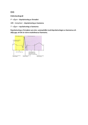 Hur man skriver labbrapport - Laborationsrapporter Handledning för ...