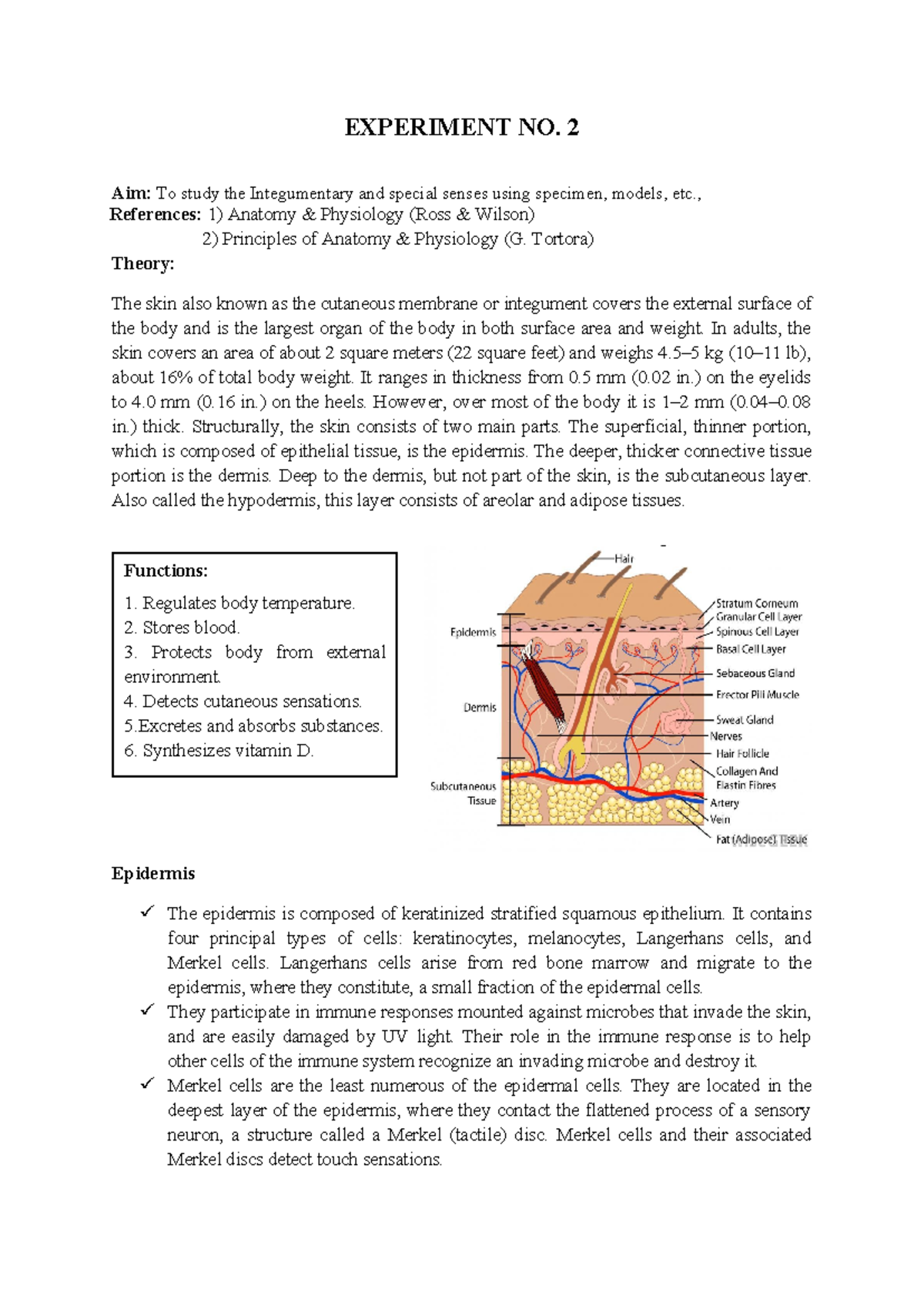 Experiment No. 2: Integumentary System & Special Senses Study - Studocu