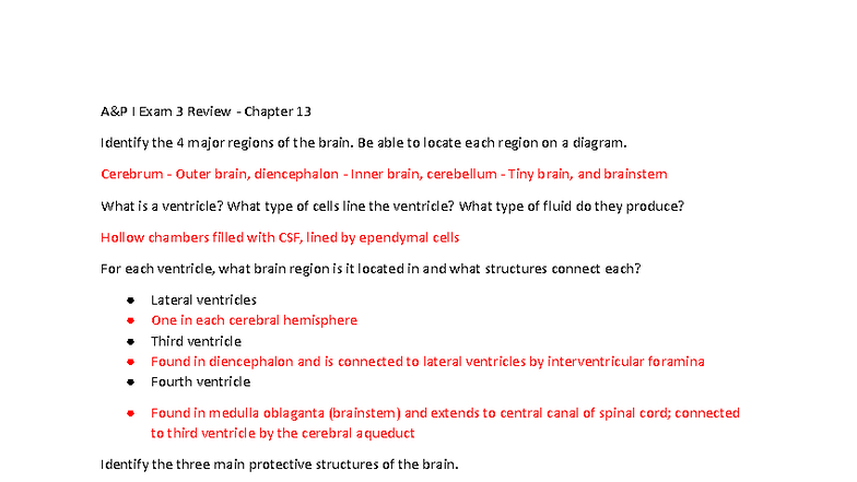 A&P I Exam 3 Review: Key Concepts on Brain Structure & Function - Studocu