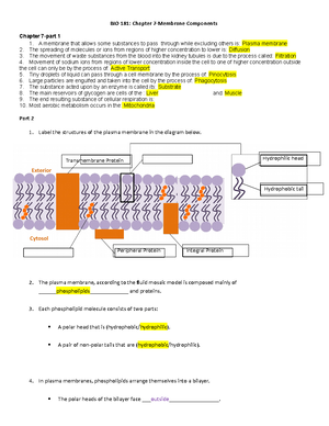 Protein Analysis - Name: Protein Analysis Lab Worksheet Provide your hypothesis regarding the ...