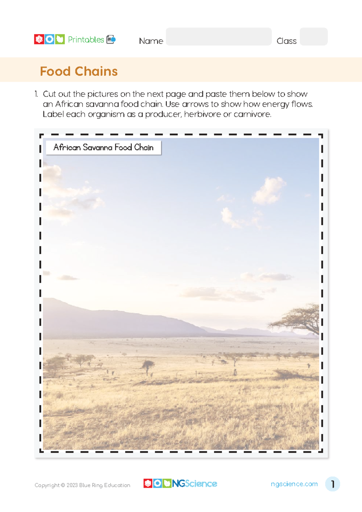 4-NGScience-Ecosystems 10: Exploring Food Chains in Savanna & Ocean ...