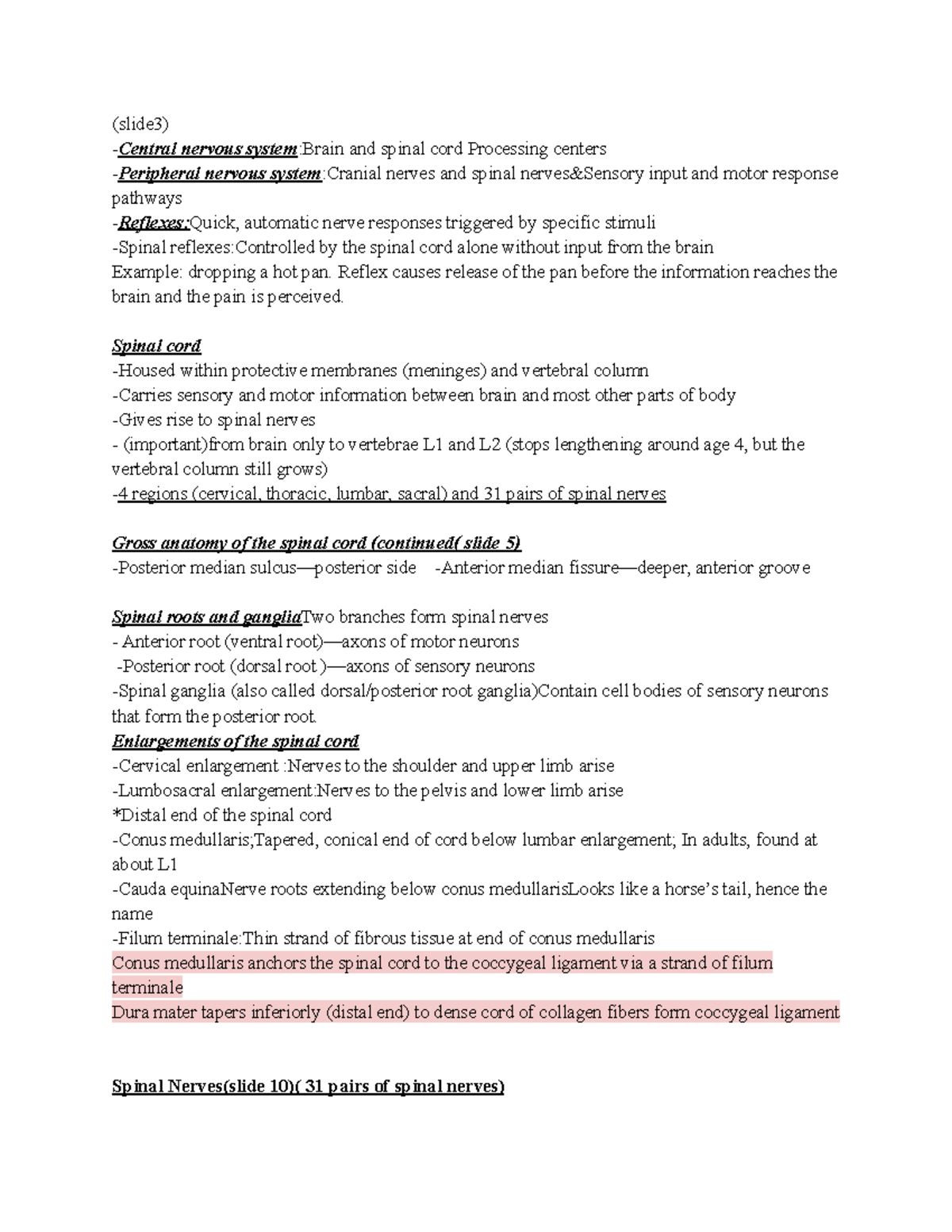 Chapter 13: Spinal Cord, Nerves, and Reflexes Overview and Functions - Studocu